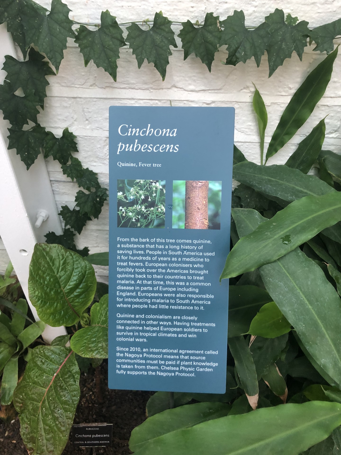 Projects & Clients – Victoria Kingston Historian & Curator